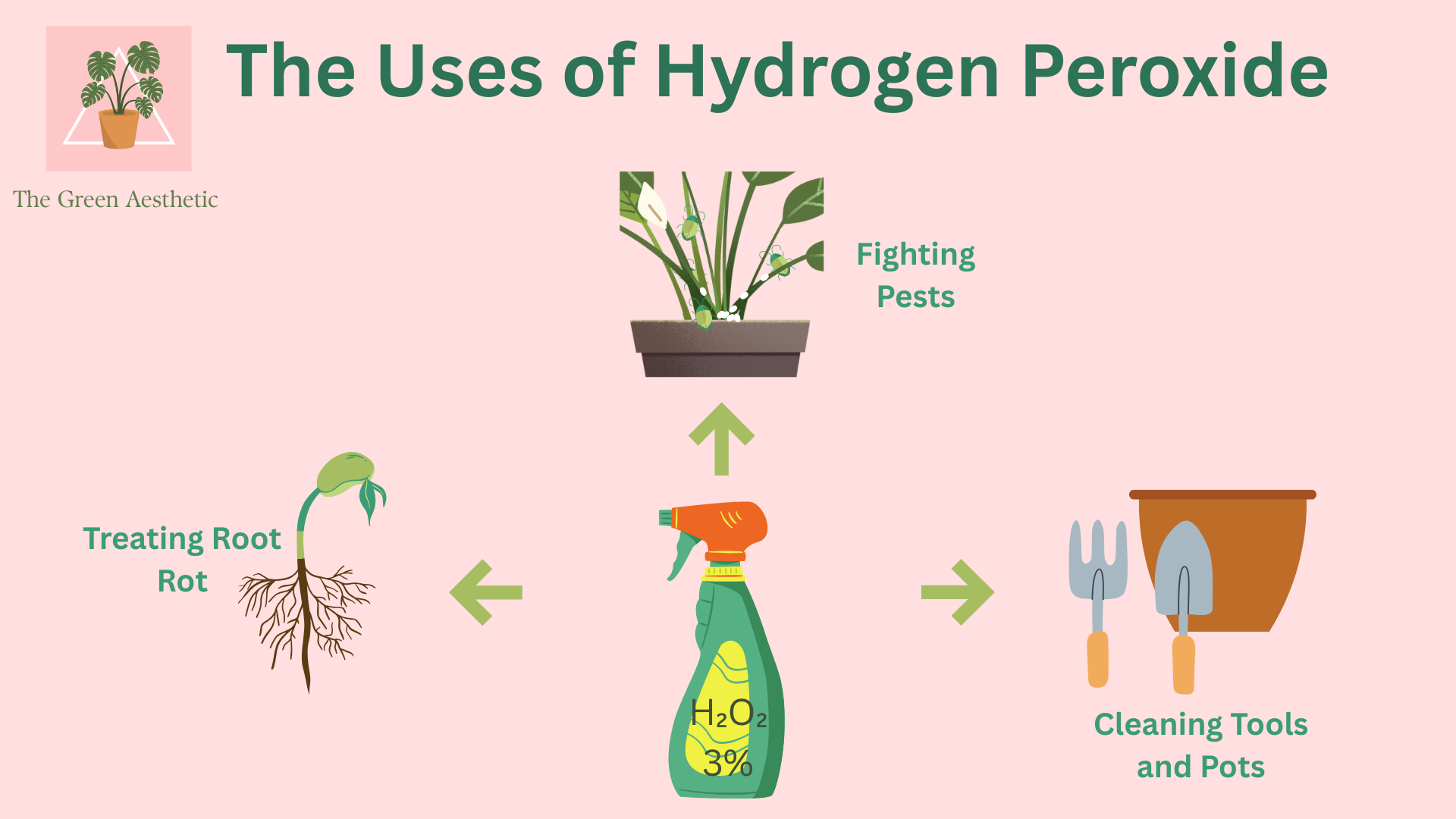 Hydrogen Peroxide: The Easy Solution To Save Your Plants - The Green ...